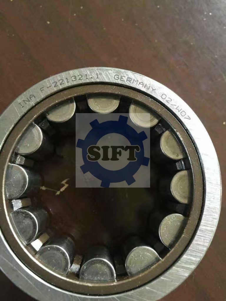 INA F-221321.1 Radial Cylindrical Roller Bearing