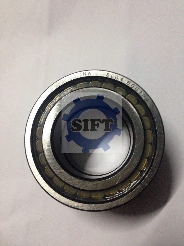 INA SL04 5007-PP Cylindrical Roller Bearing