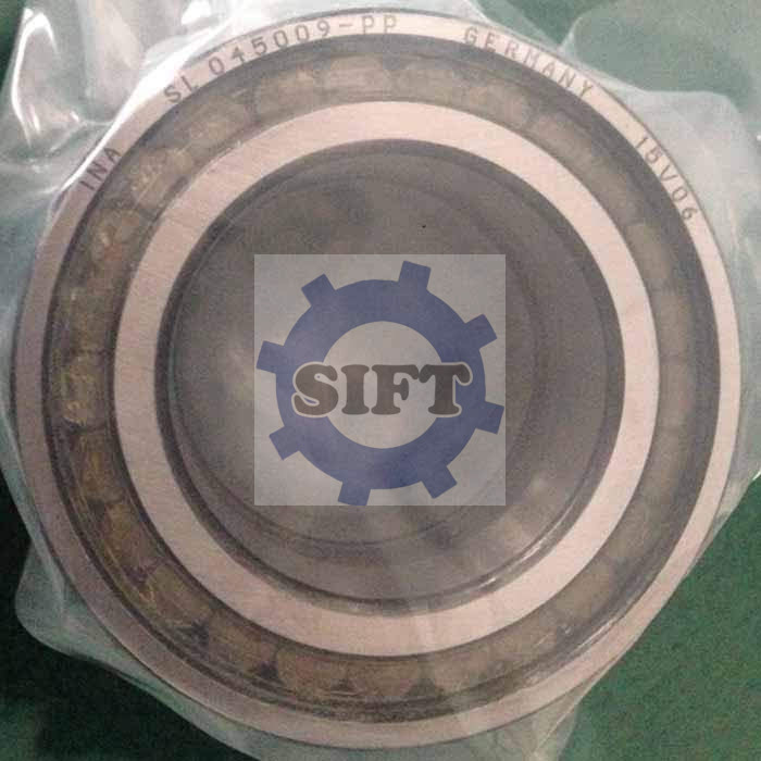 INA SL04 5009-PP Cylindrical Roller Bearing